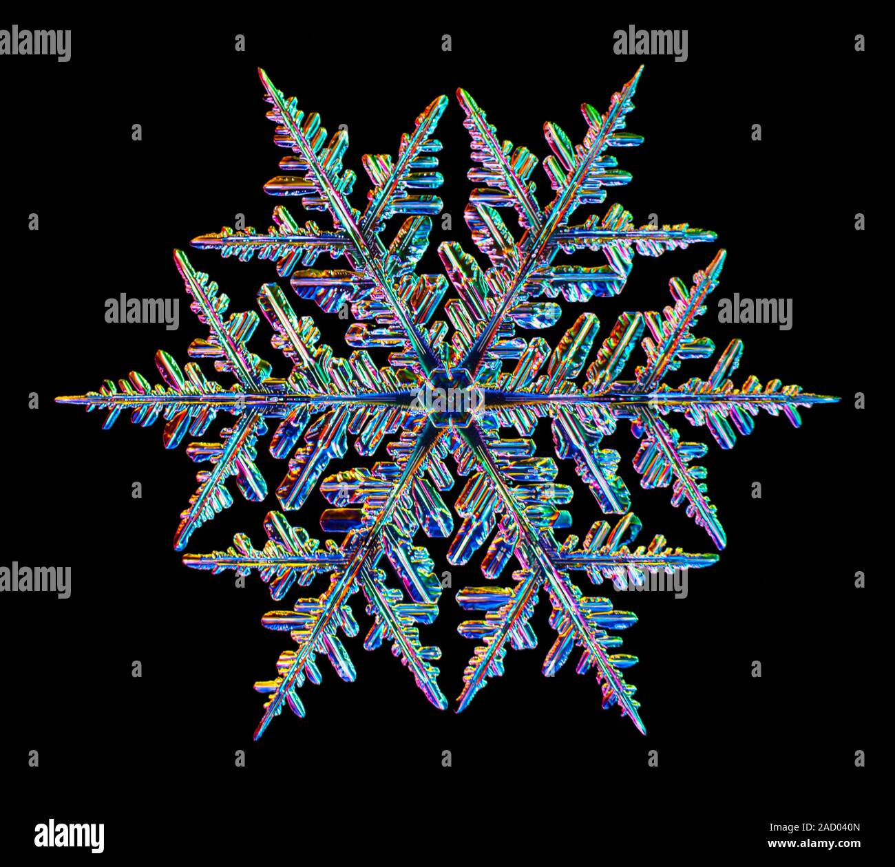 Snowflake. Light micrograph of a fernlike stellar dendrite snowflake ...