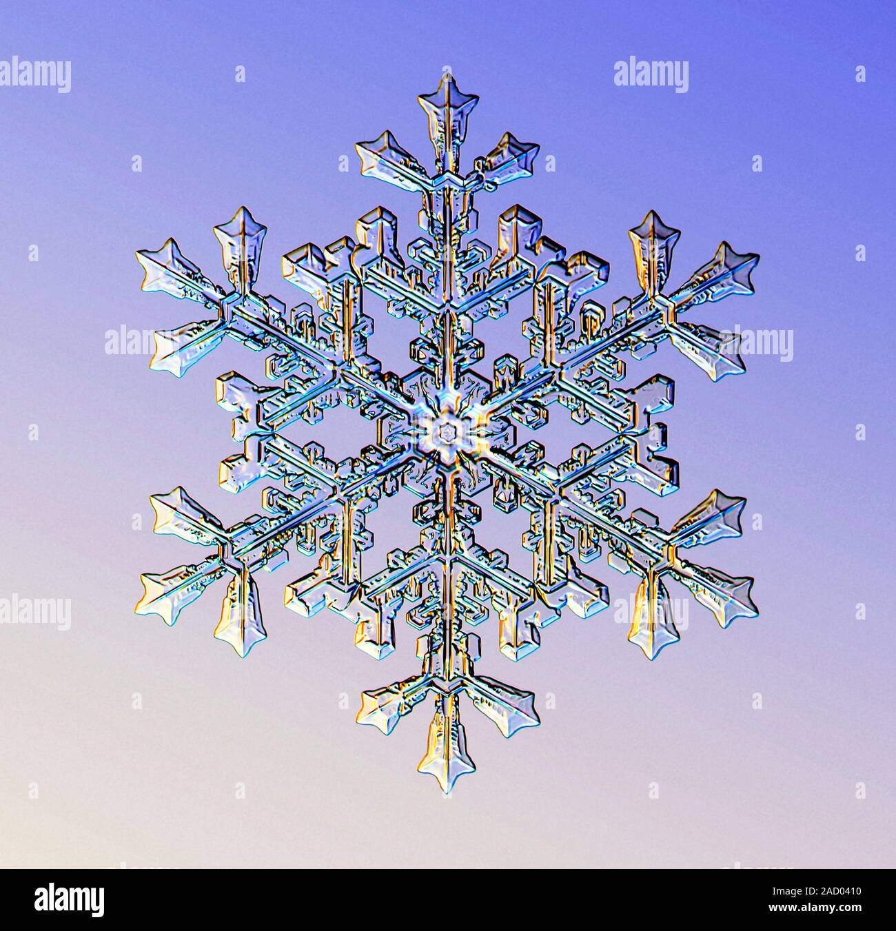 Snowflake. Light micrograph of a stellar dendrite snowflake. Snowflakes ...
