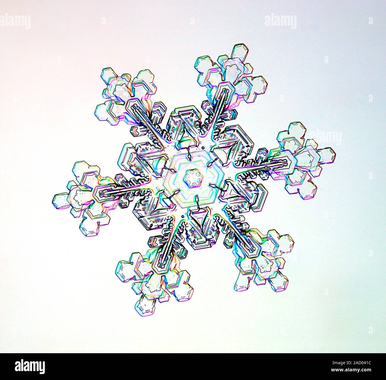 Snowflake. Light micrograph of a stellar dendrite snowflake. Snowflakes ...