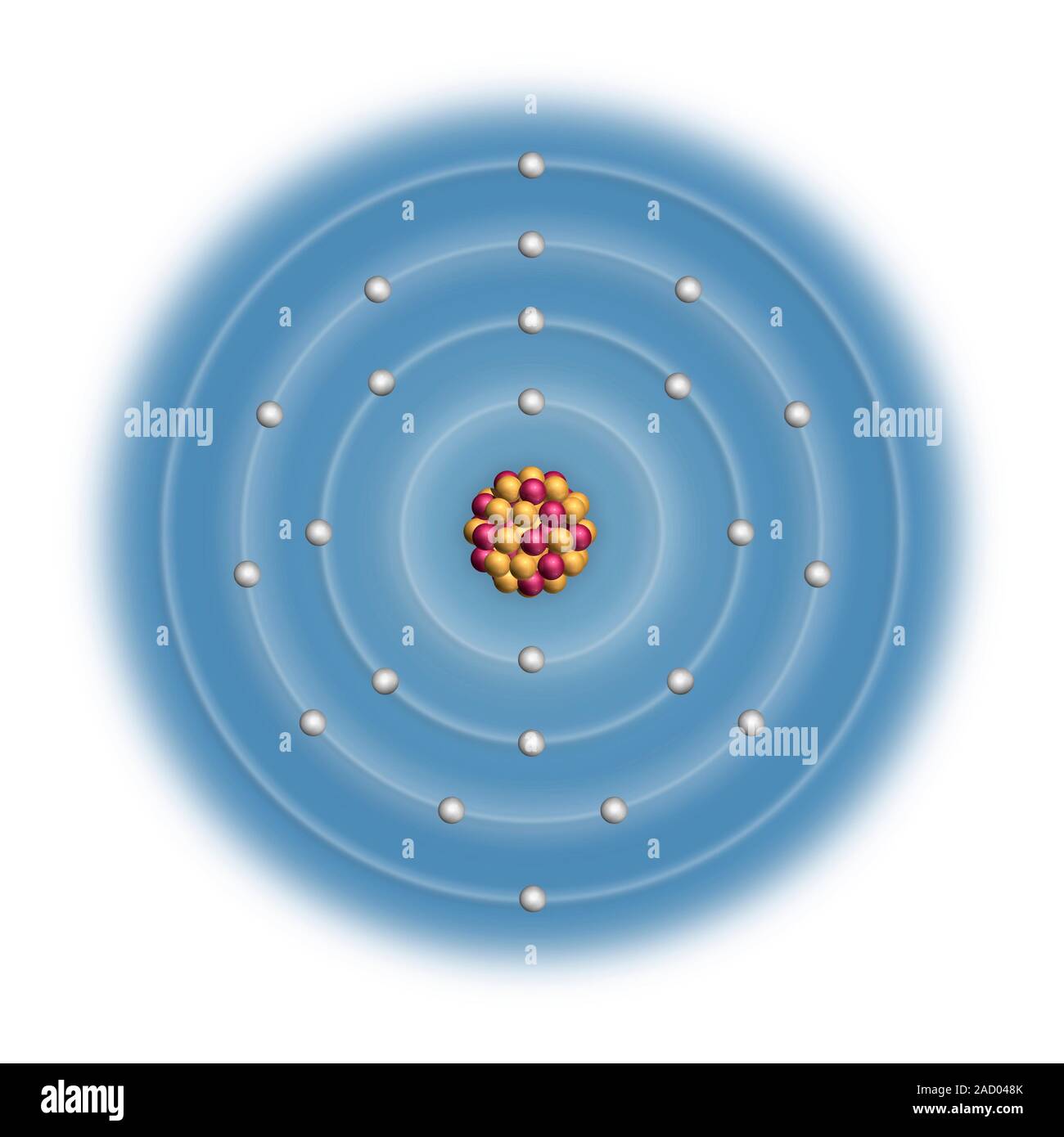 Vanadium (V). Diagram of the nuclear composition and electron ...