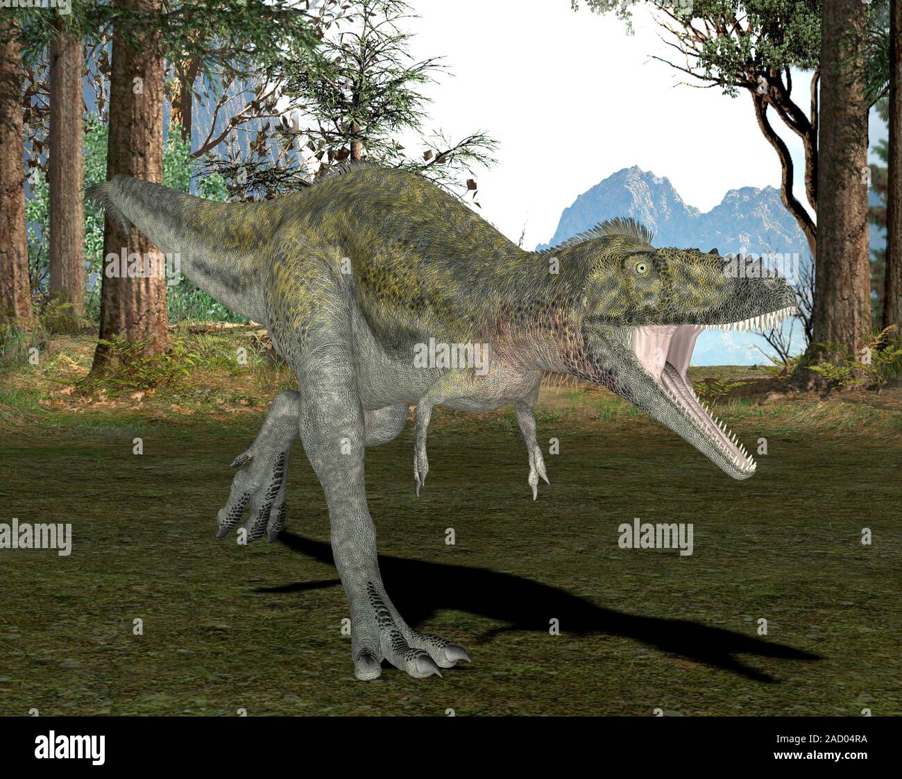 Alioramus dinosaur. Computer illustration of an Alioramus sp. dinosaur ...