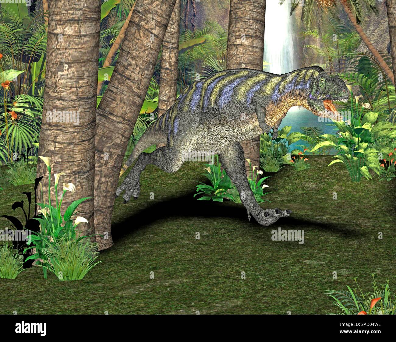 Aucasaurus dinosaur. Computer illustration of an Aucasaurus sp ...