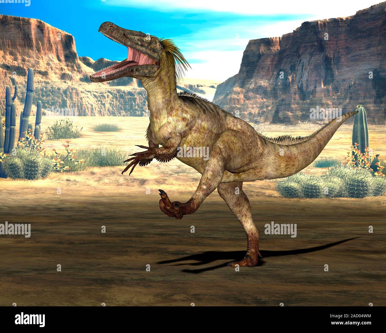 Austroraptor dinosaur. Computer illustration of an Austroraptor sp ...