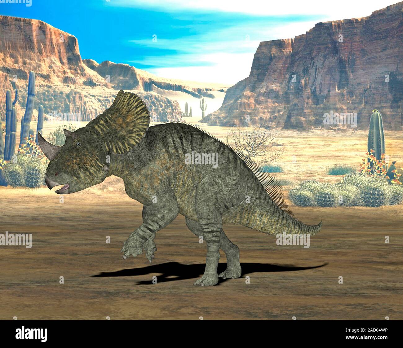 Brachyceratops dinosaur. Computer illustration of a Brachyceratops sp ...