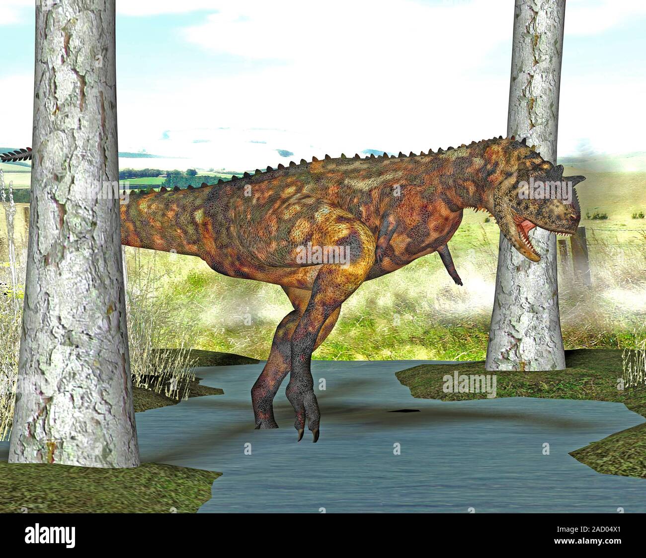 Carnotaurus dinosaur. Computer illustration of a Carnotaurus sp ...