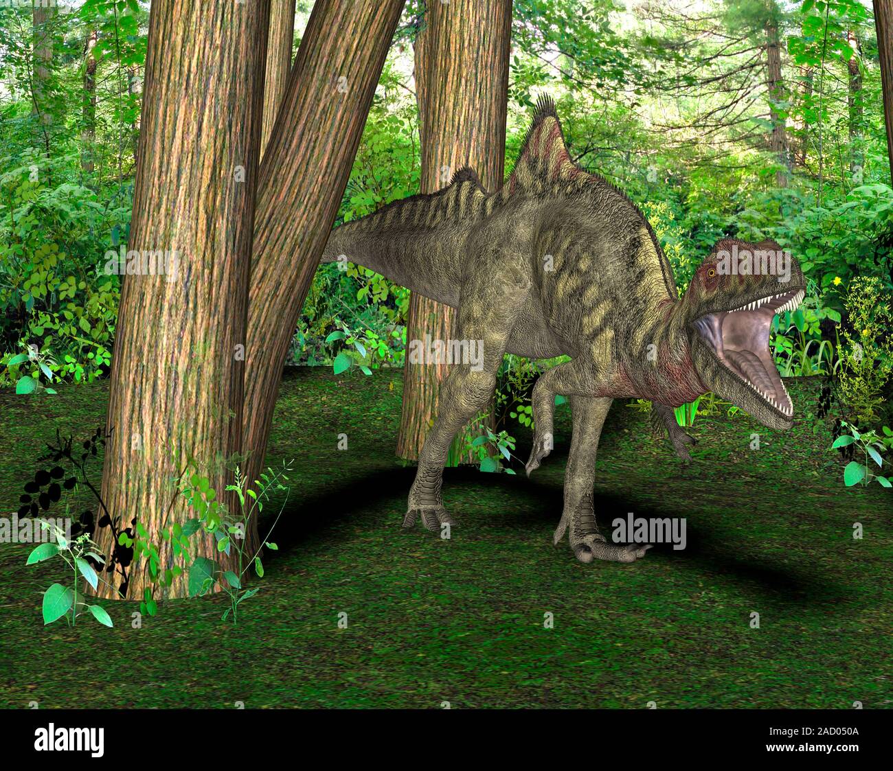 Concavenator dinosaur. Computer illustration of a Concavenator sp ...