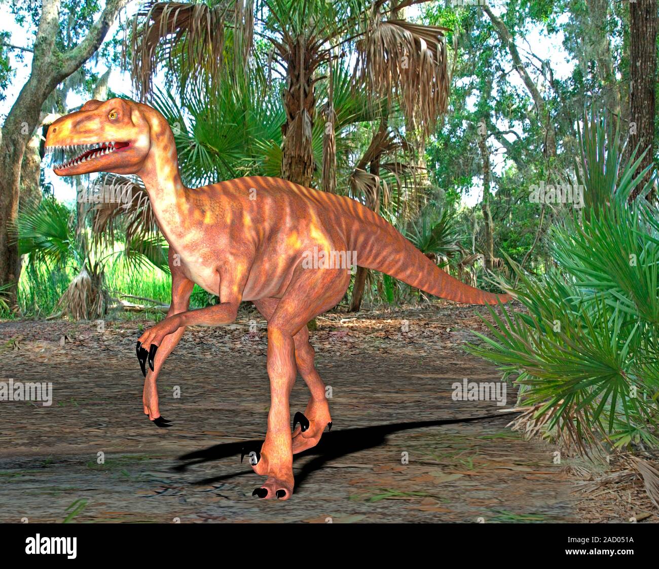 Deinonychus dinosaur. Computer illustration of a Deinonychus sp ...