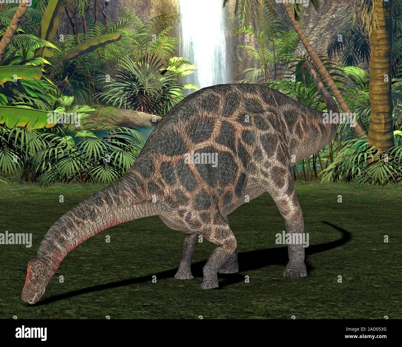 Dicraeosaurus dinosaur. Computer illustration of a Dicraeosaurus sp ...