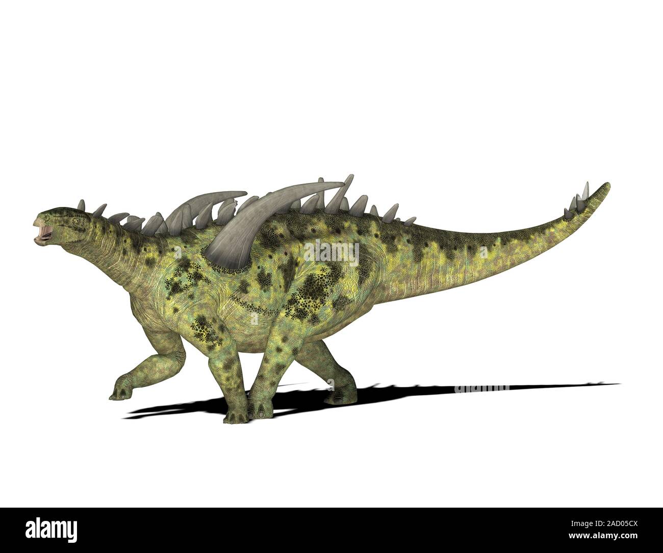 Gigantspinosaurus dinosaur. Computer illustration of a ...