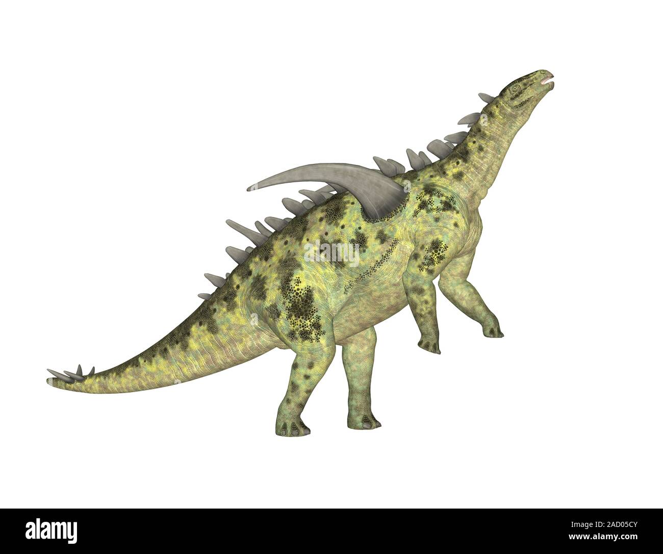 Gigantspinosaurus dinosaur. Computer illustration of a ...