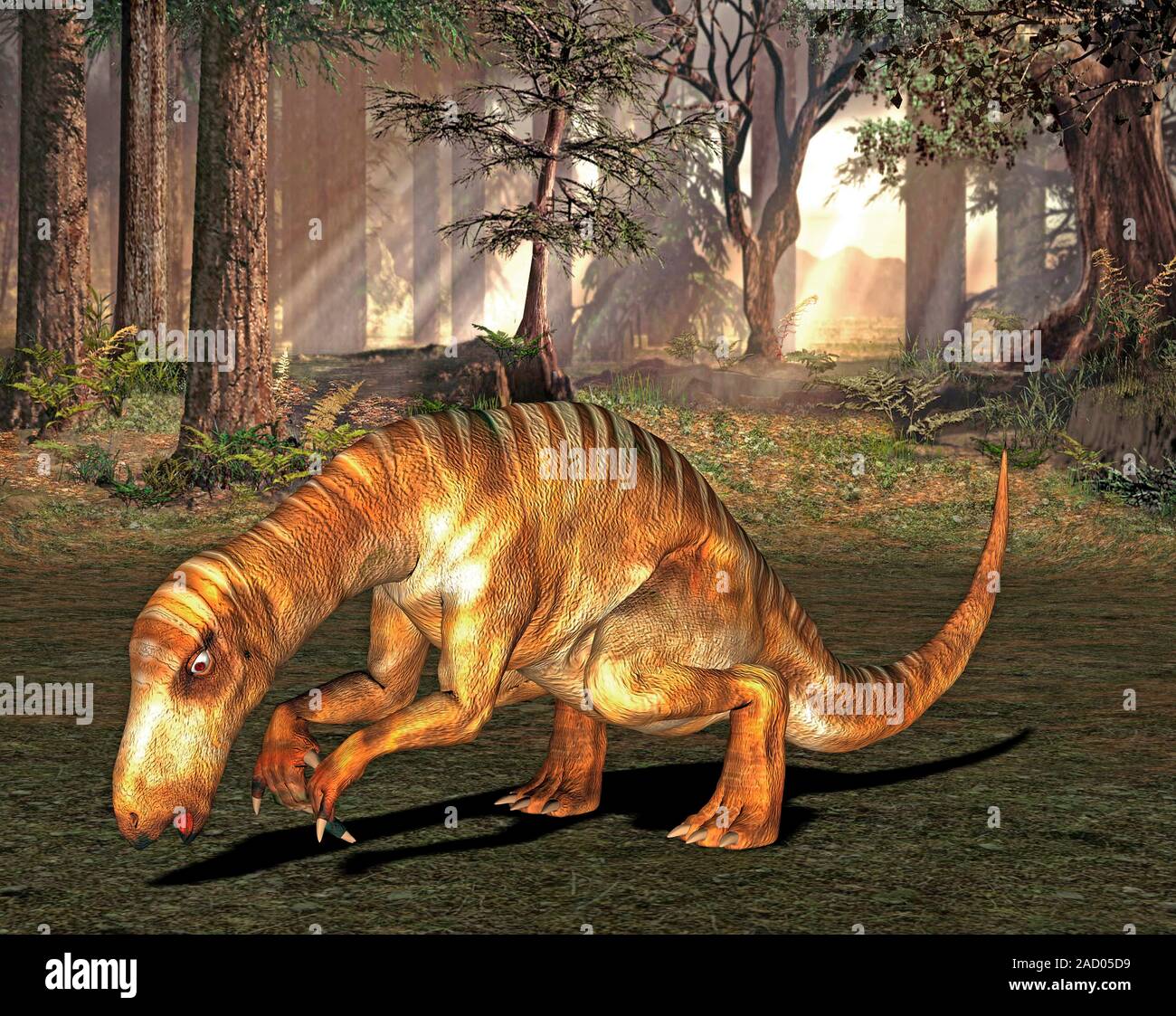 Iguanodon dinosaur. Computer illustration of an Iguanodon sp. dinosaur ...