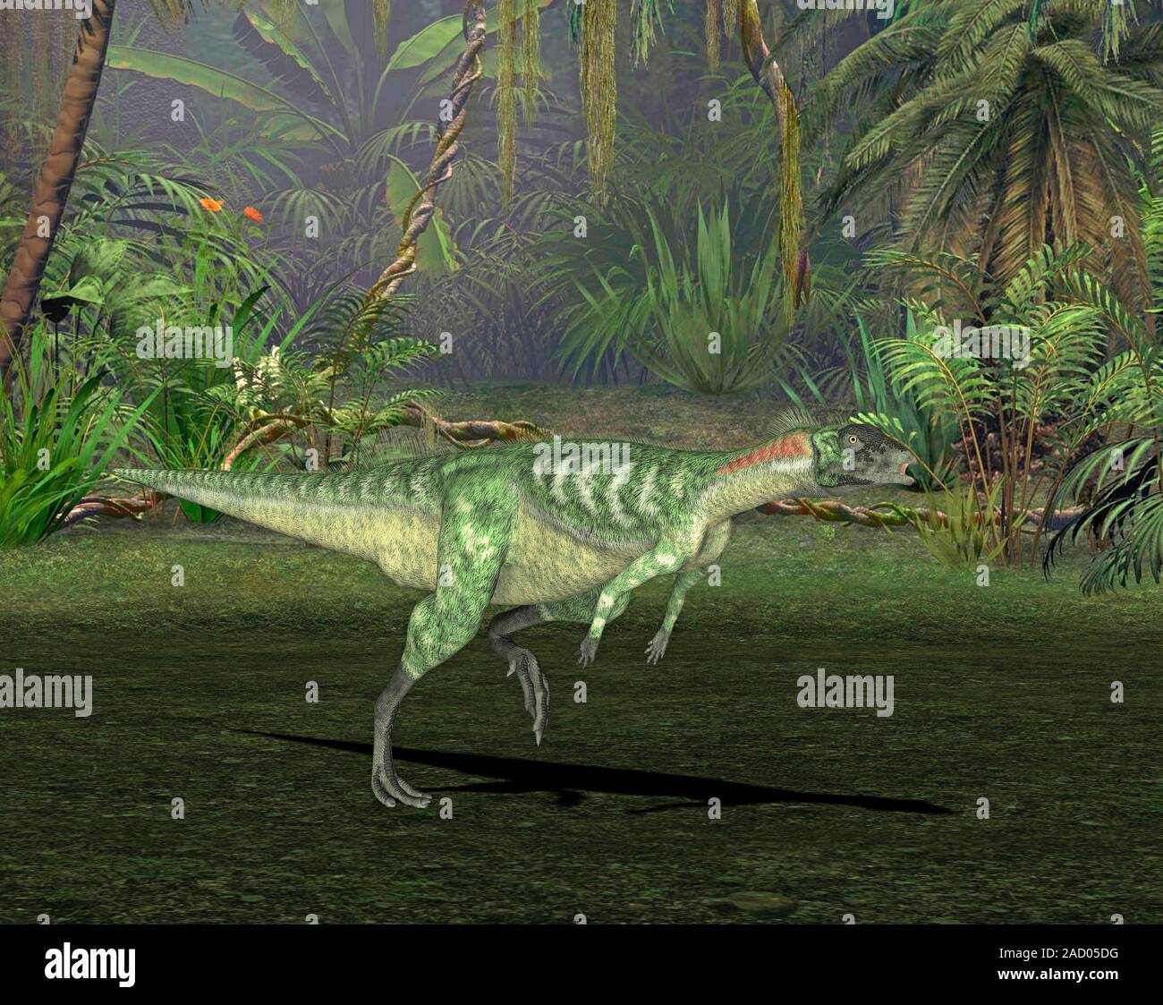 Lesothosaurus dinosaur. Computer illustration of a Lesothosaurus sp ...