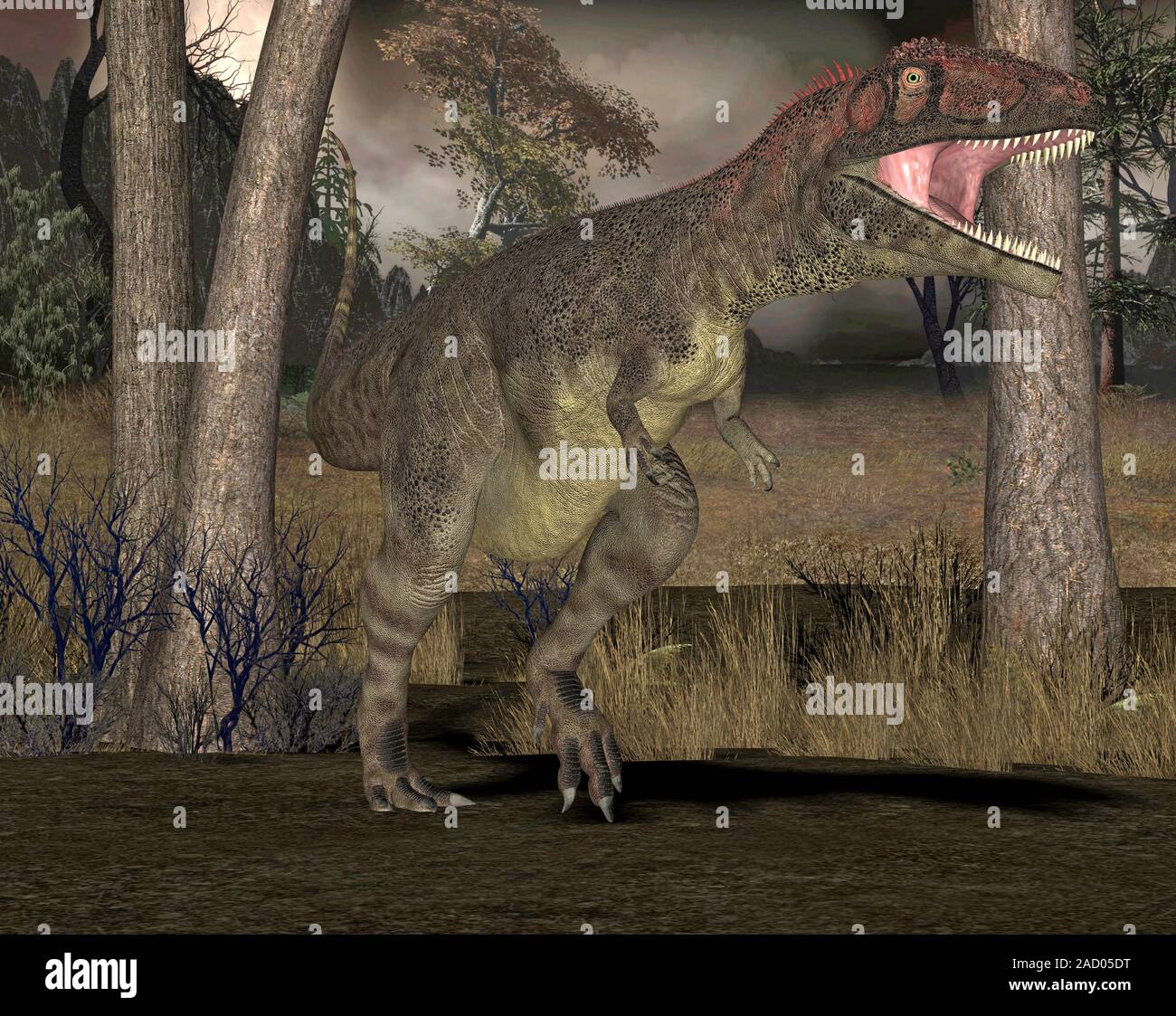 Mapusaurus dinosaur. Computer illustration of a Mapusaurus sp. Dinosaur ...