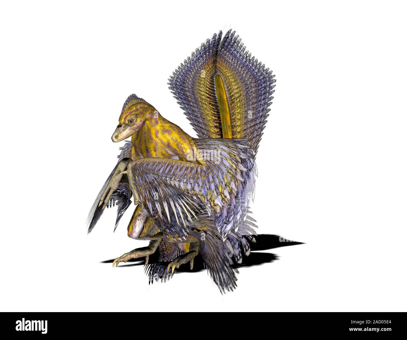 Microraptor dinosaur. Computer illustration of a Microraptor sp ...