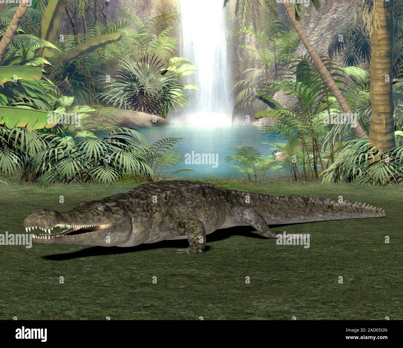 Sarcosuchus prehistoric crocodile. Computer illustration of a ...
