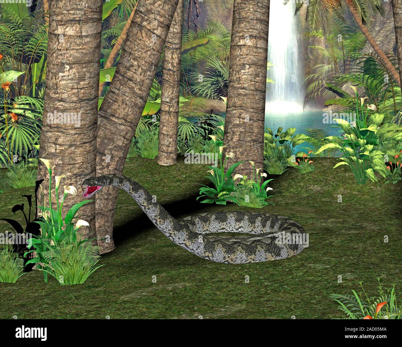 Titanoboa prehistoric snake. Computer illustration of a Titanoboa ...
