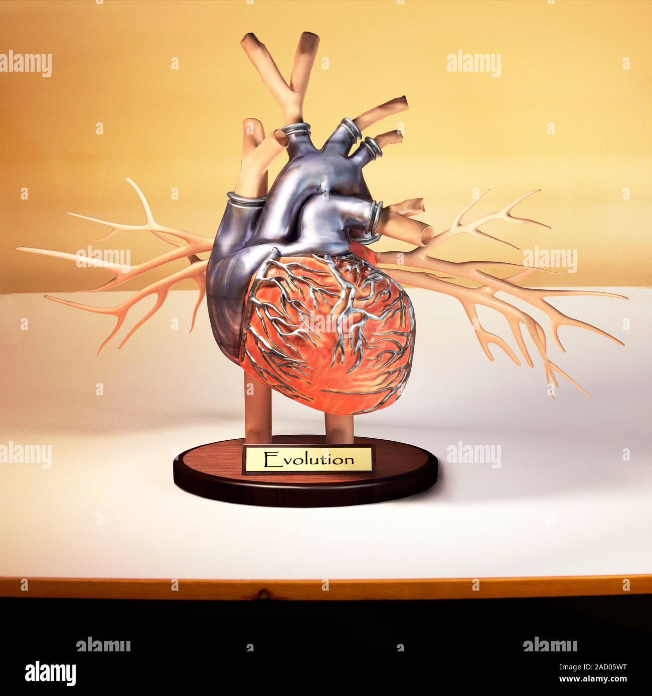Bionic heart, conceptual computer illustration Stock Photo - Alamy