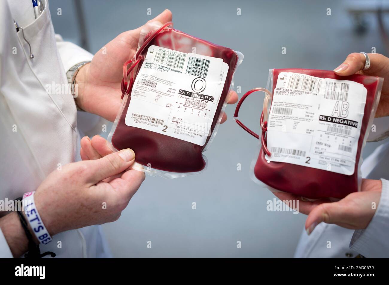 Donated blood. Medical staff holding bags of type O and type AB ...
