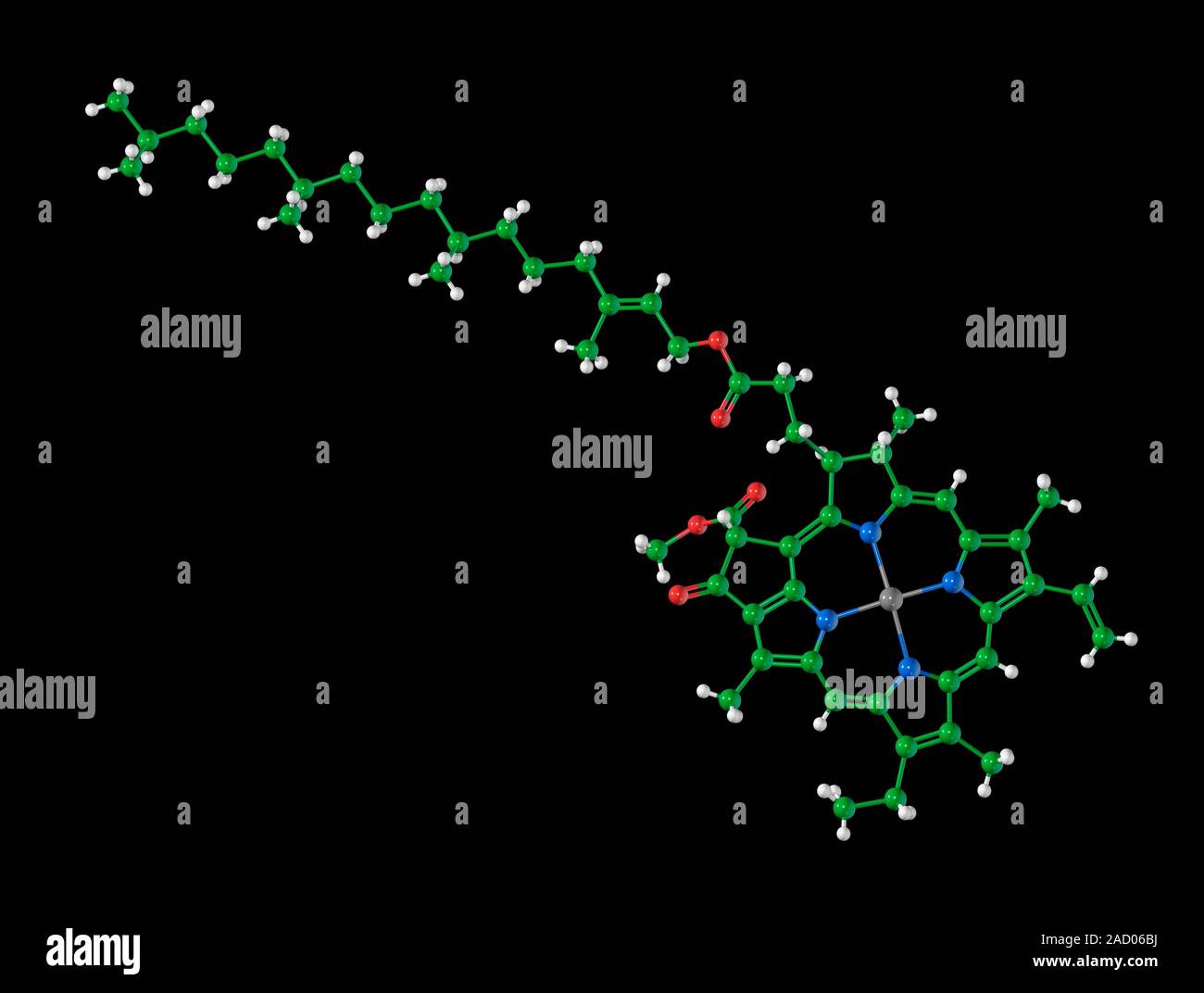 Chlorophyll A molecule. Computer illustration showing a molecule of the ...