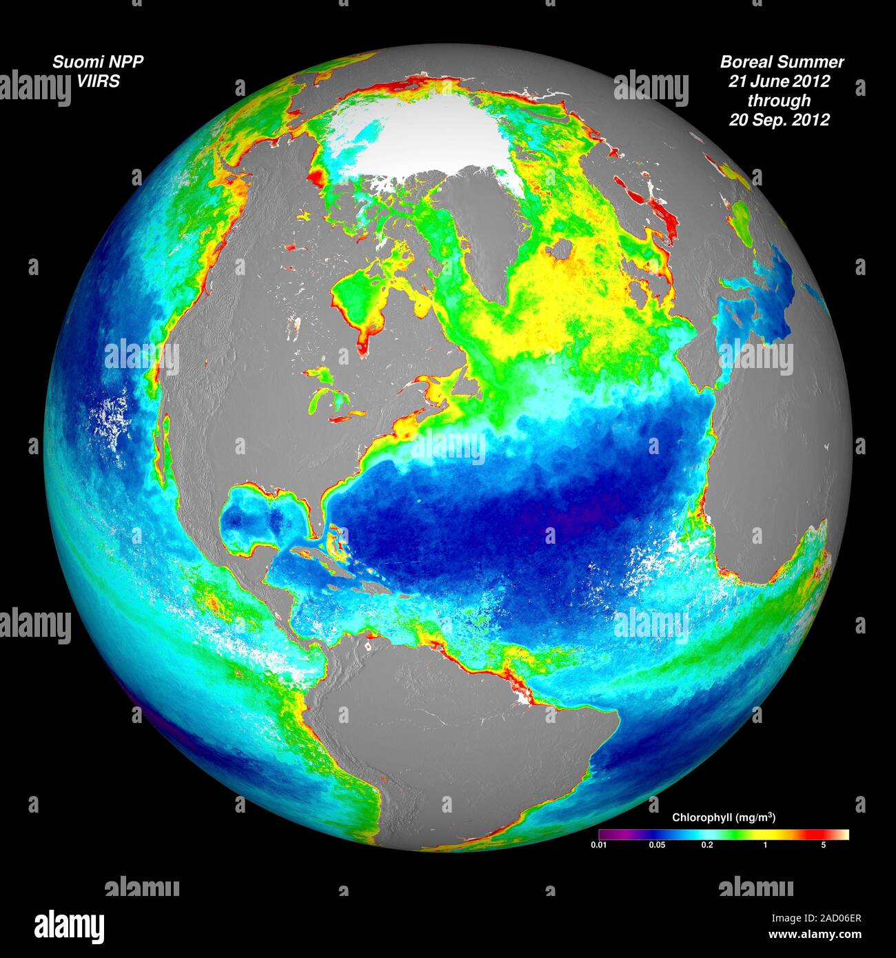 Ocean chlorophyll concentrations. Satellite image showing the season ...