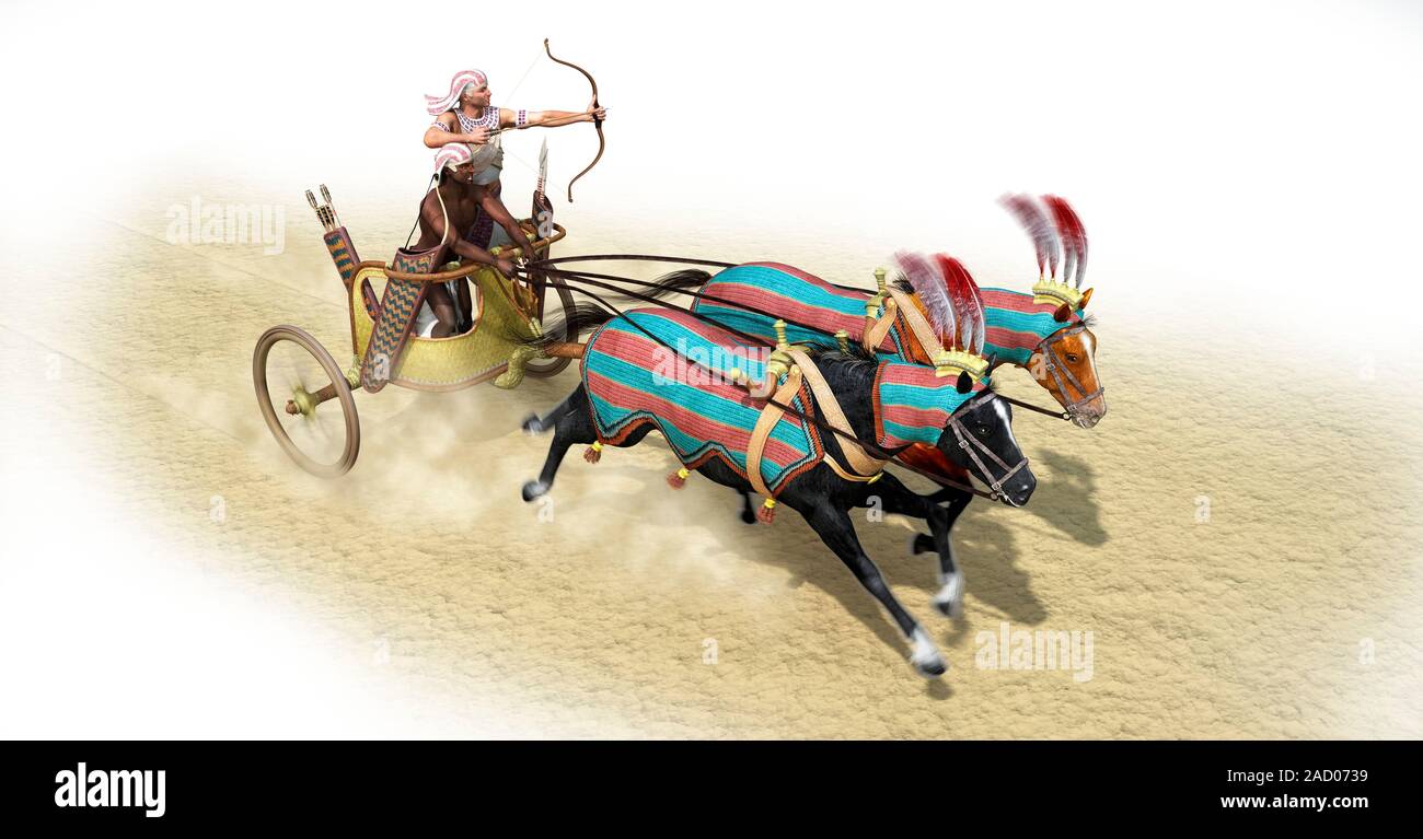 Egyptian Chariot. Computer illustration of an Ancient Egyptian archer ...
