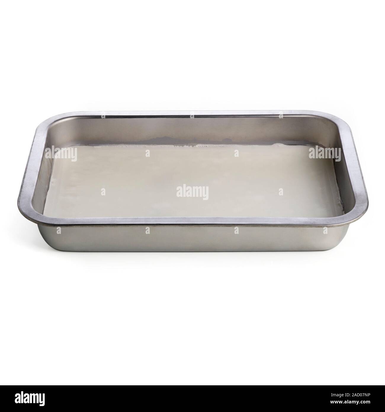 Metal dissection tray. The layer of wax in the bottom of the tray is ...