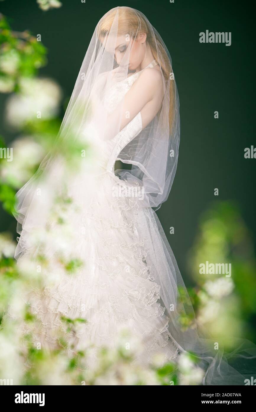 Female bride silhouette hi-res stock photography and images - Alamy