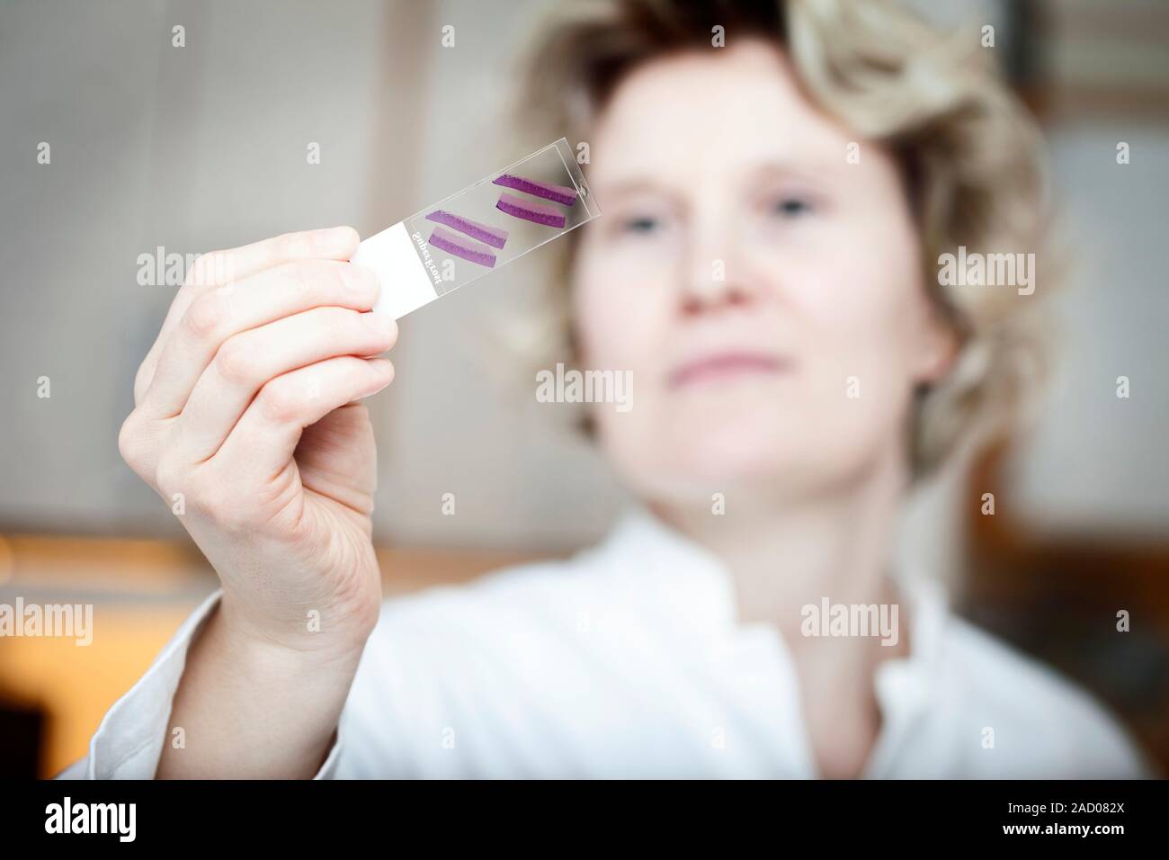 Sperm whale tissue analysis. Biologist Mette Sif Hansen from the ...