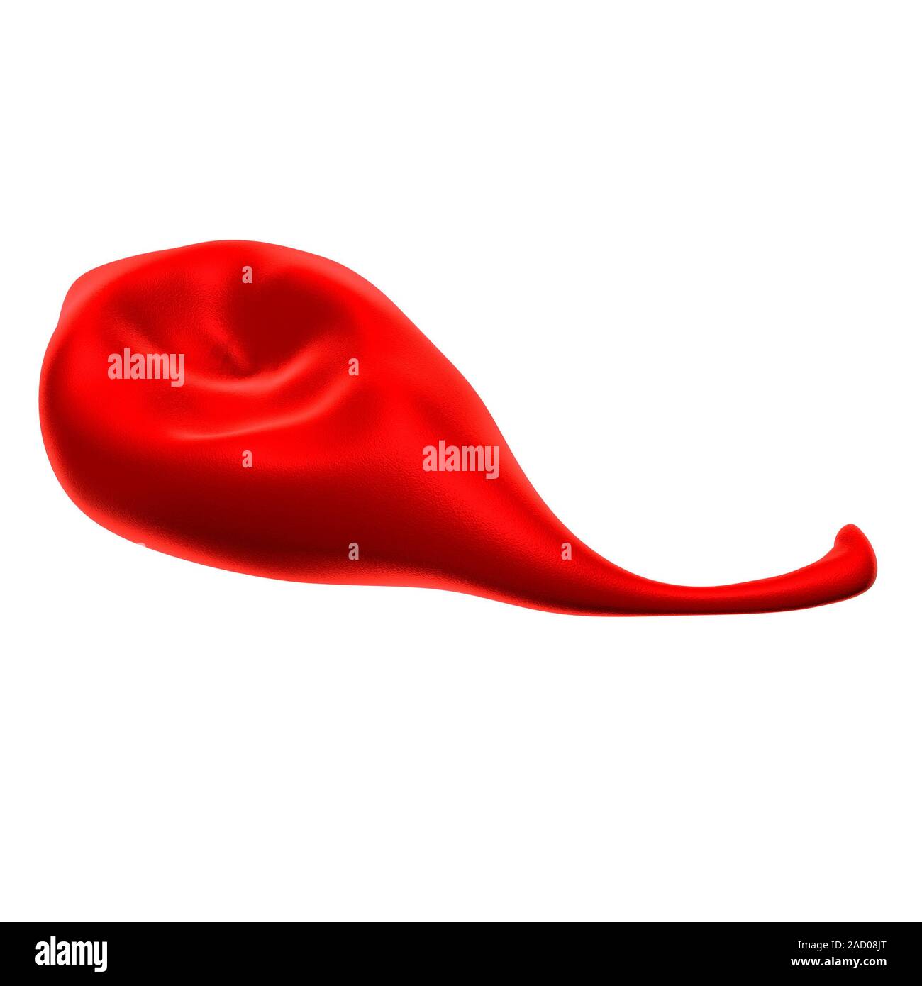 Dacrocyte. Illustration of an abnormal red blood cell, known as a ...