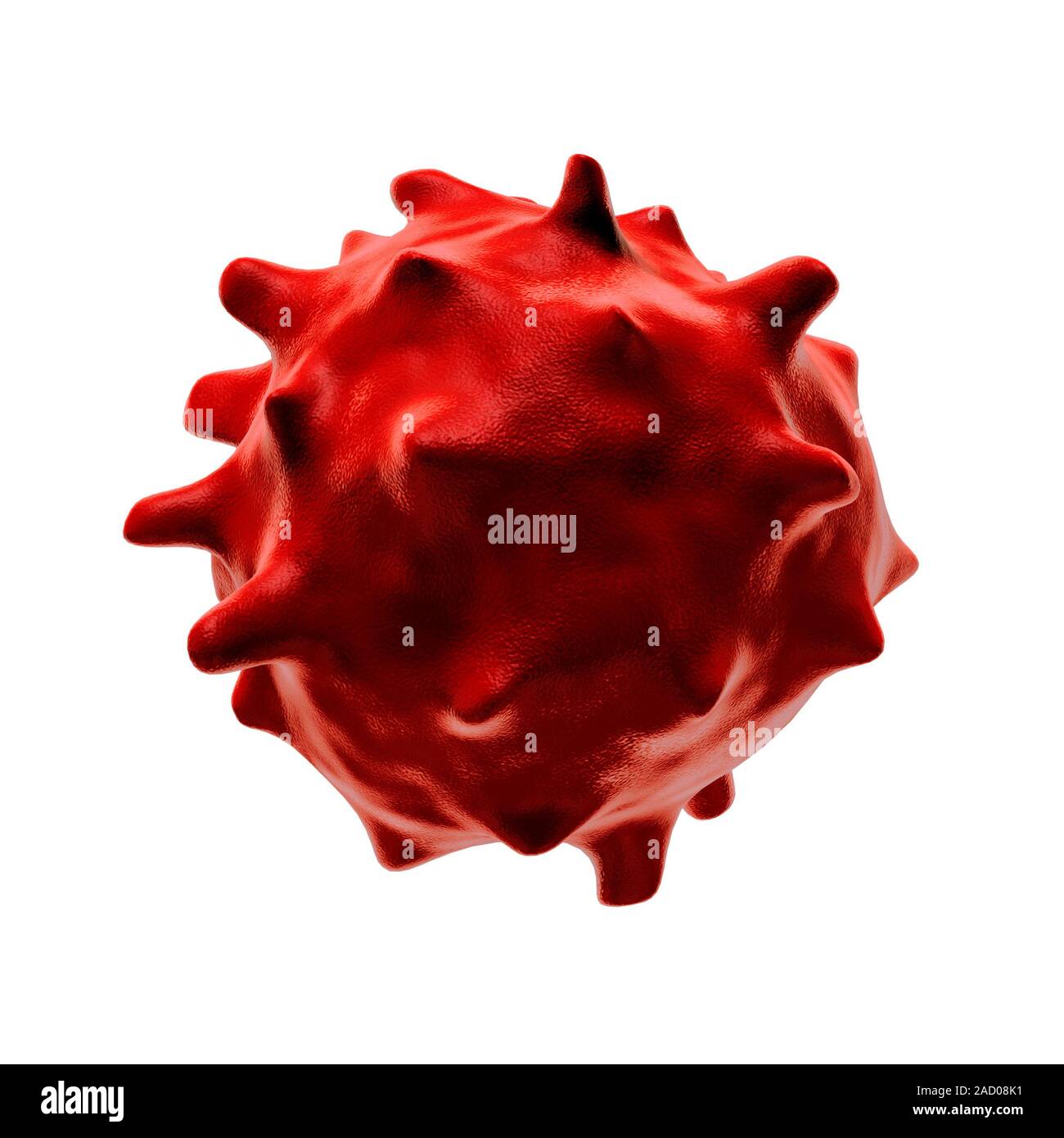 Spur cell. Illustration of an abnormal red blood cell known as a spur ...