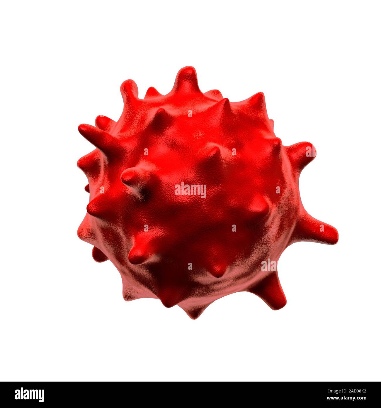 Spur cell. Illustration of an abnormal red blood cell known as a spur ...
