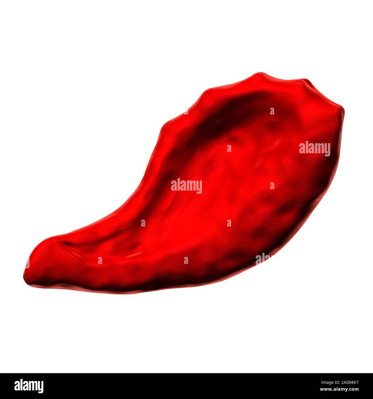 Sickle cell anaemia. Illustration of a red blood cell affected by ...