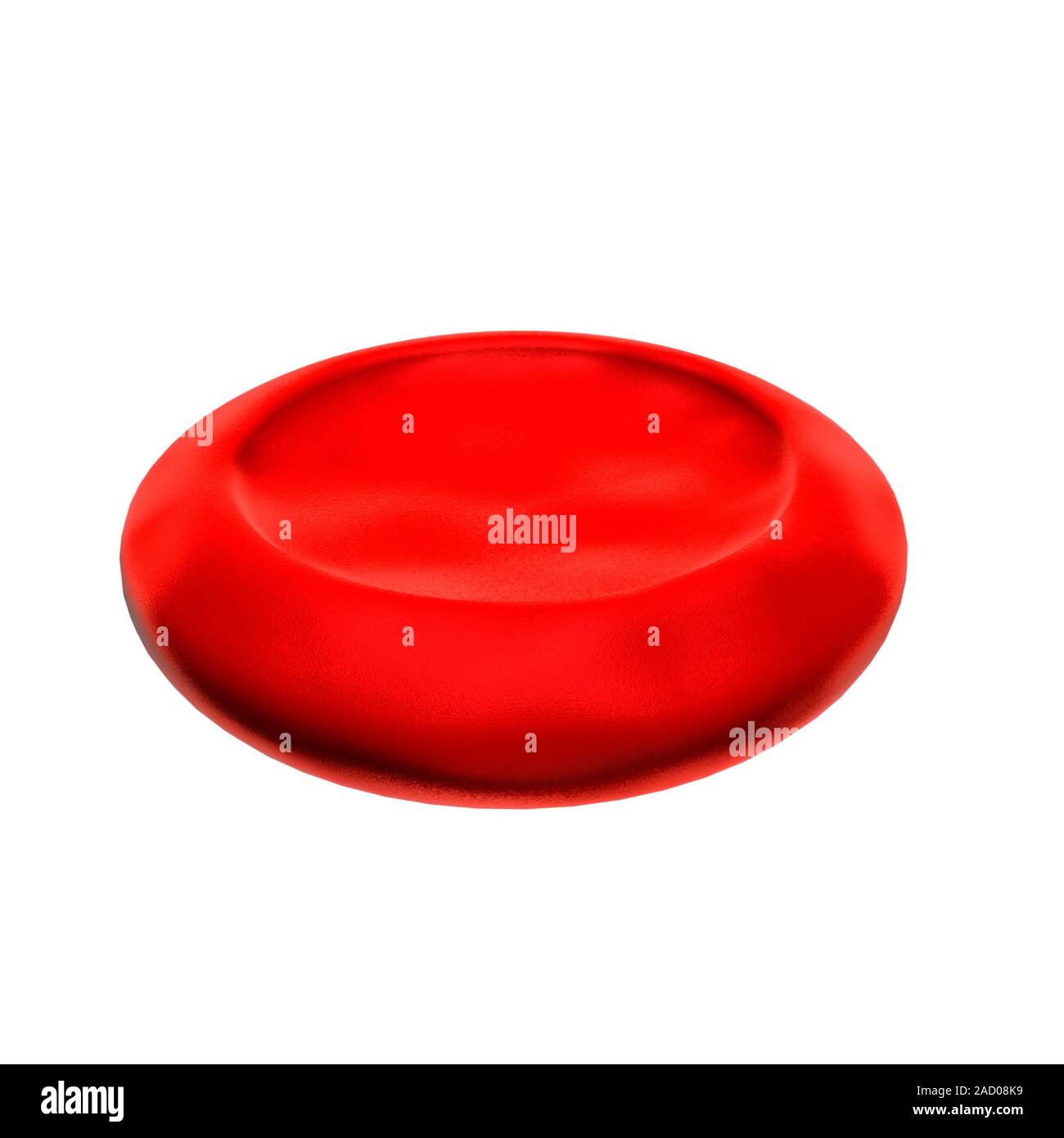 Red blood cell, illustration. Red blood cells (erythrocytes) have a ...