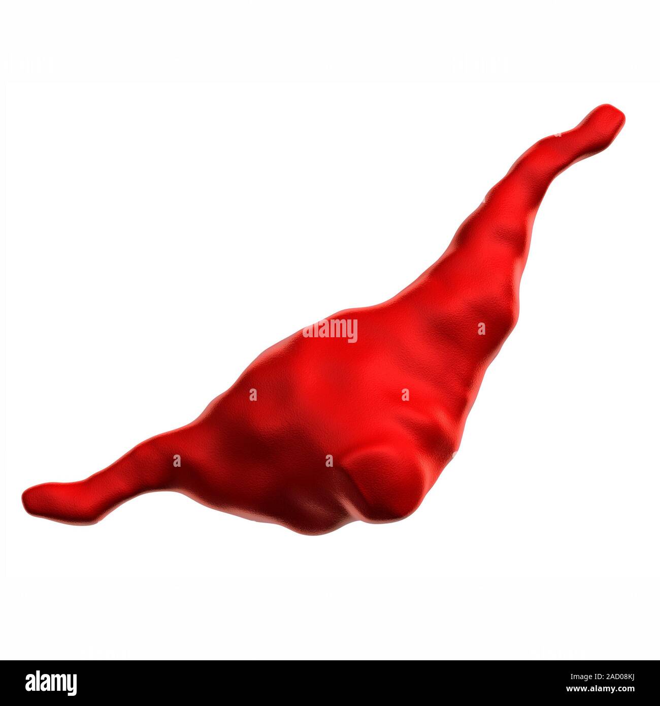 Scistocyte. Illustration of an abnormal red blood cell known as a ...