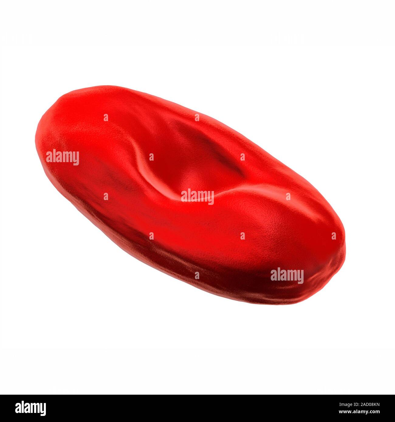 Elliptocyte. Illustration of an abnormal red blood cell known as an ...