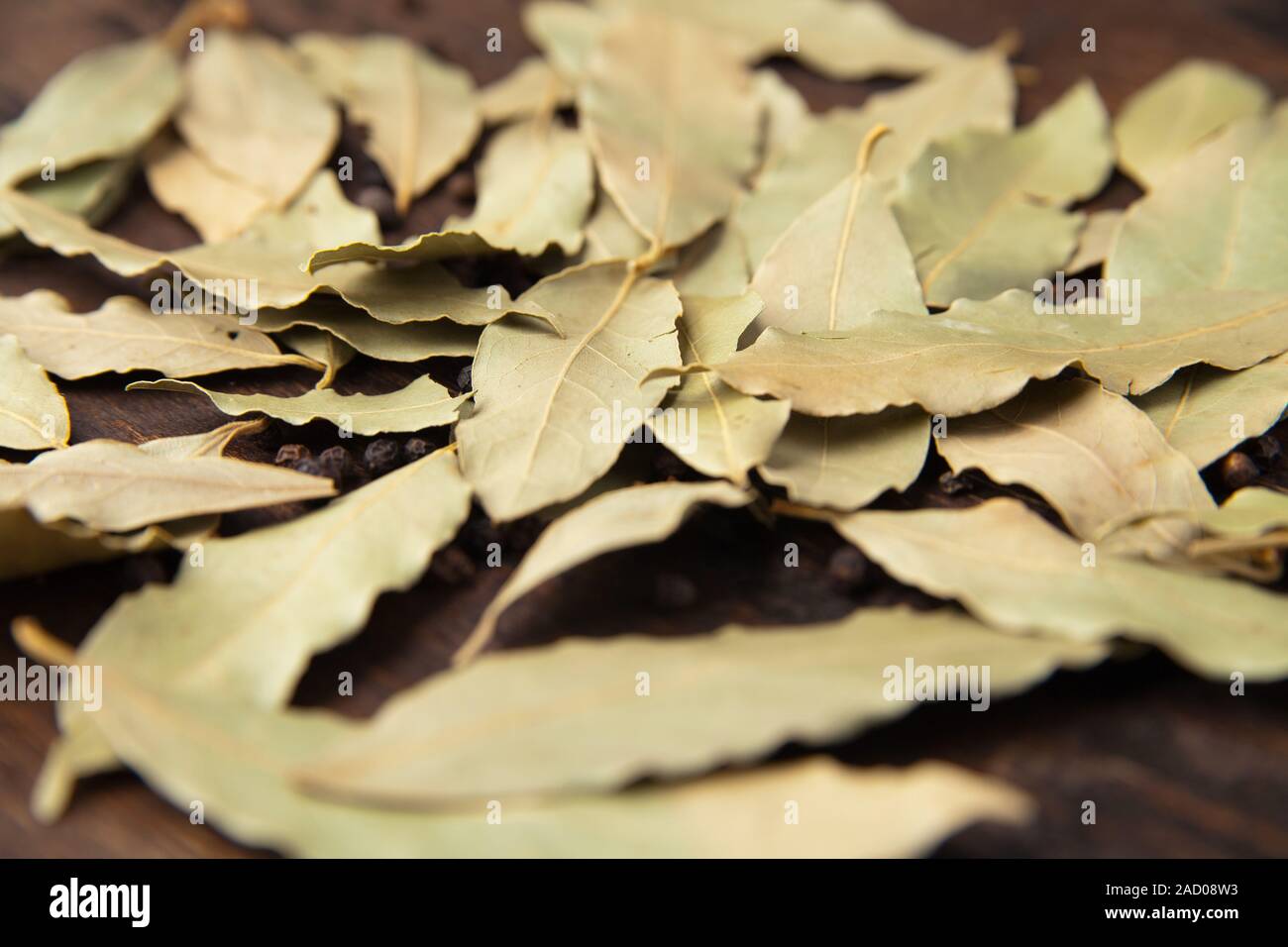 Laurel leaves hi-res stock photography and images - Alamy