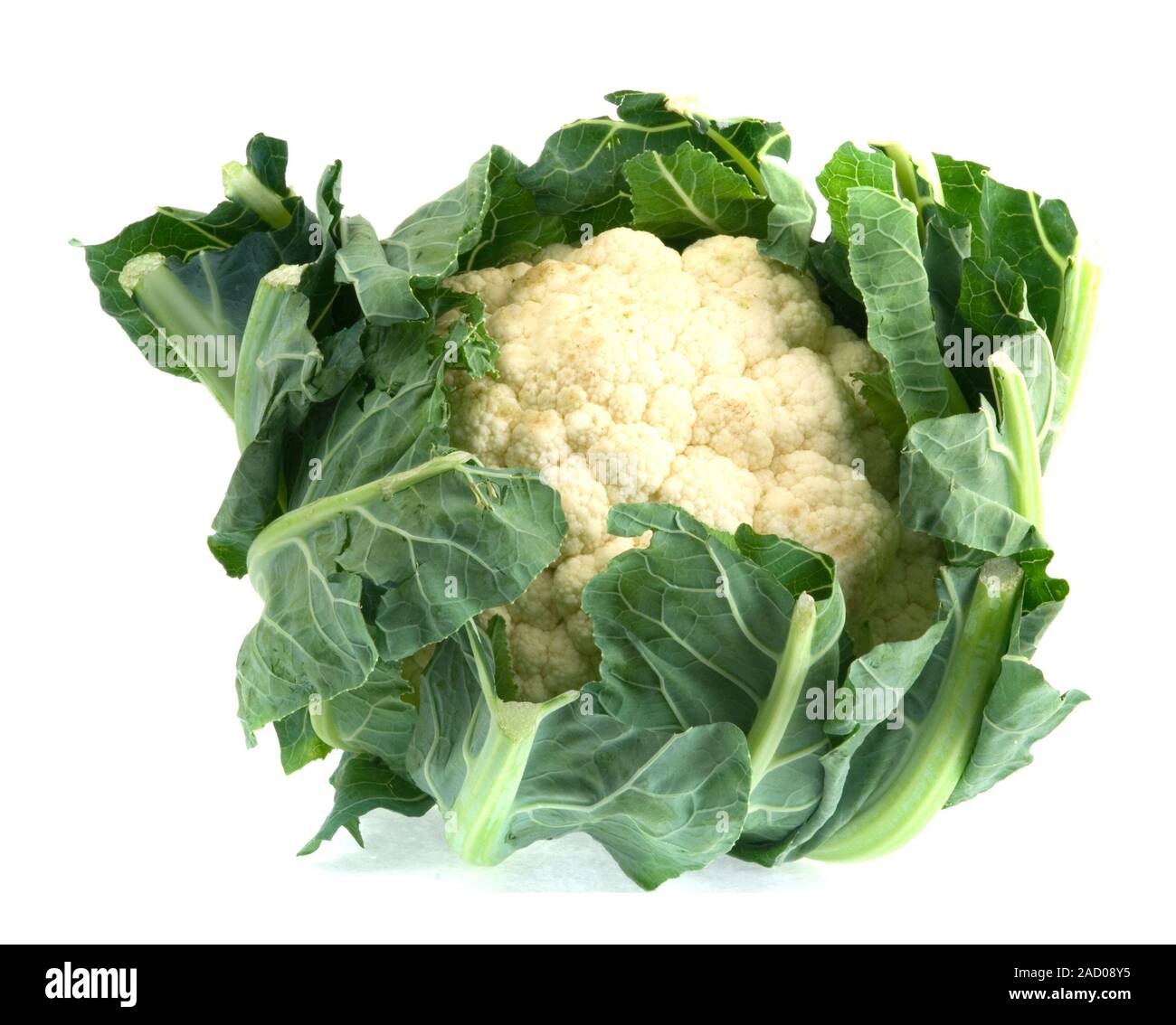Broccoflower isolated on white background Stock Photo - Alamy