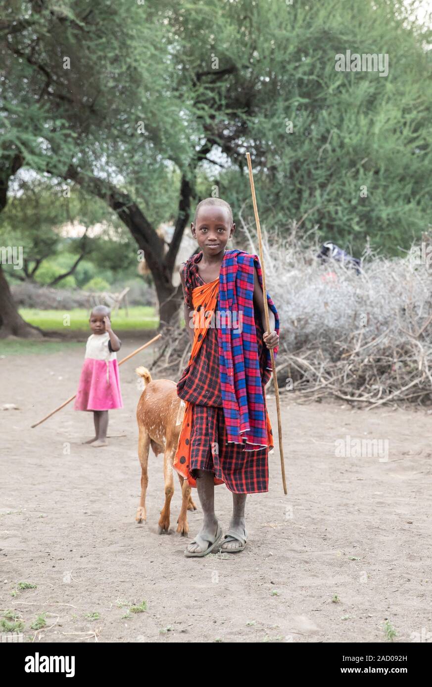 Same, Tanzania, 7th June 2019: maasai kid with a goat Stock Photo - Alamy