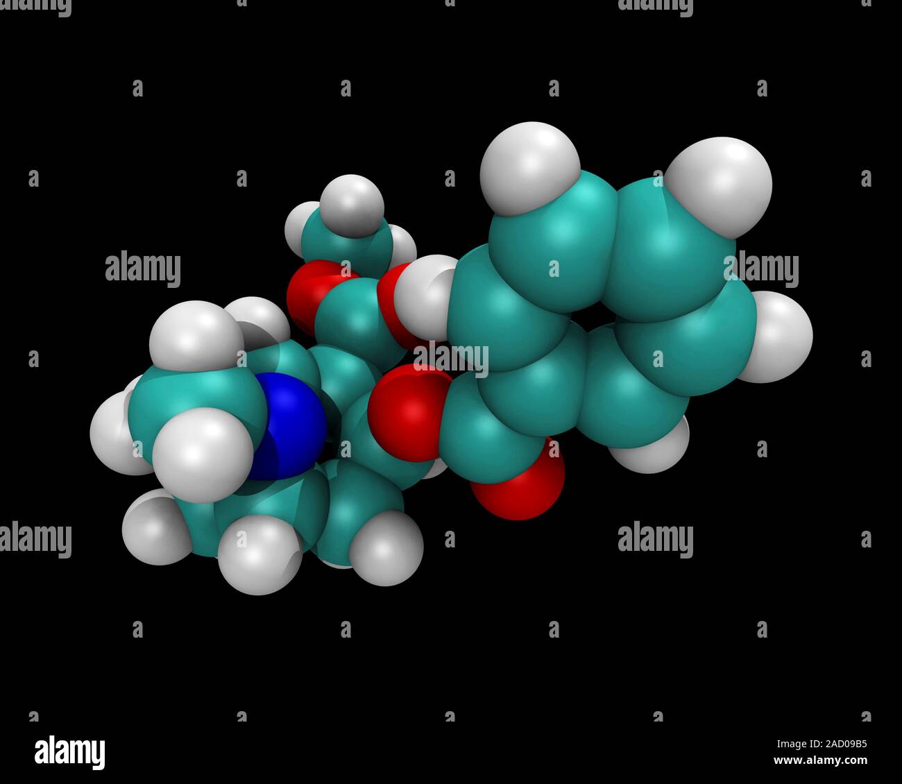 Cocaine molecule. Computer model of the drug cocaine (formula ...
