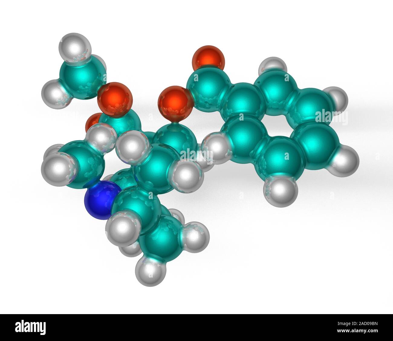Cocaine molecule. Computer model of the drug cocaine (formula ...