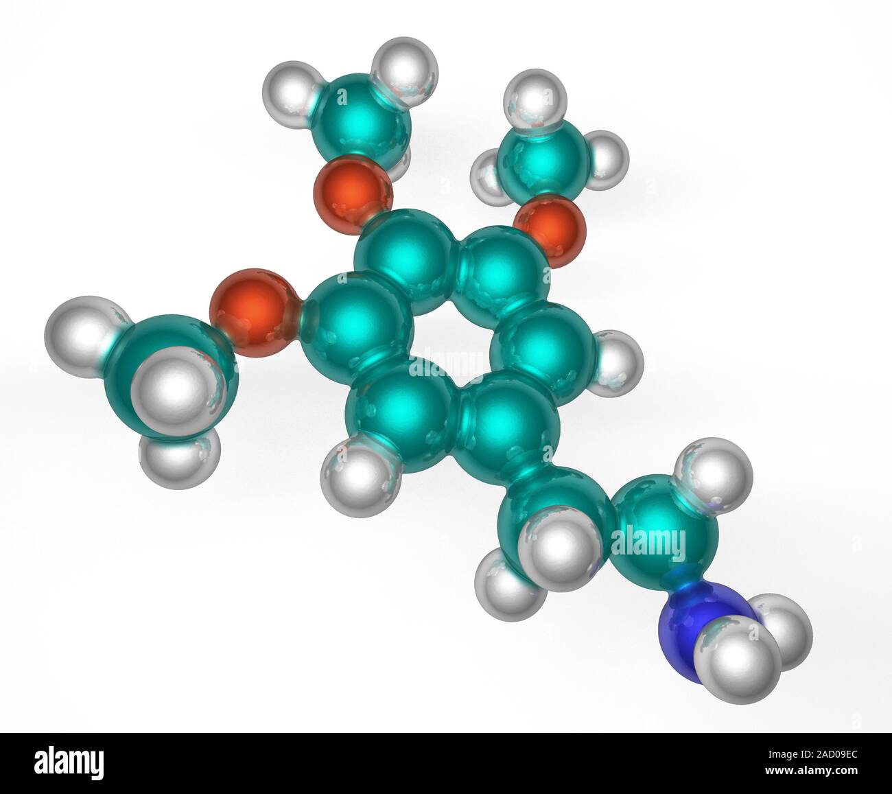 Mescaline molecule. Computer graphic of the drug mescaline (formula C11 ...