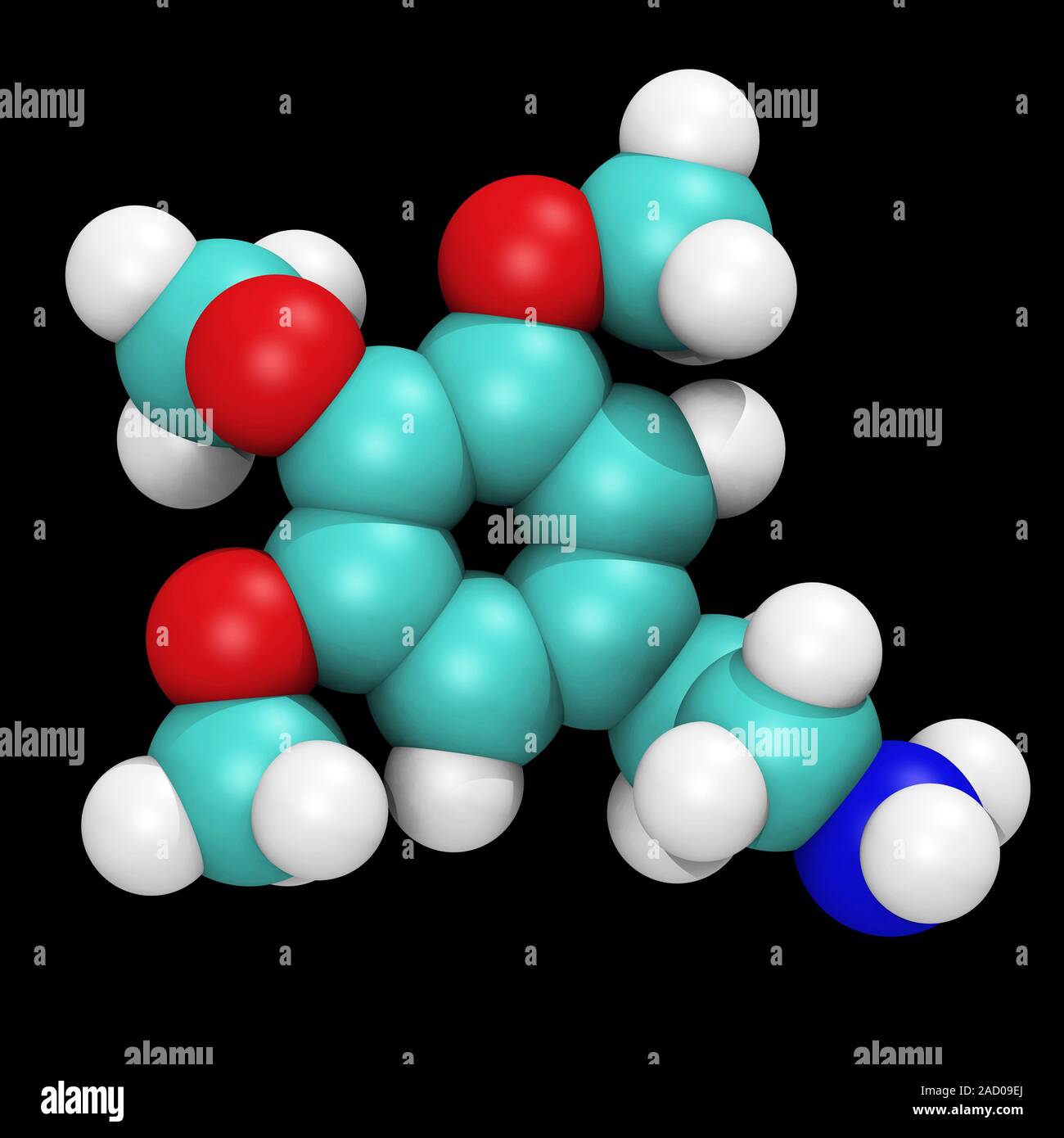 Mescaline molecule. Computer graphic of the drug mescaline (formula C11 ...