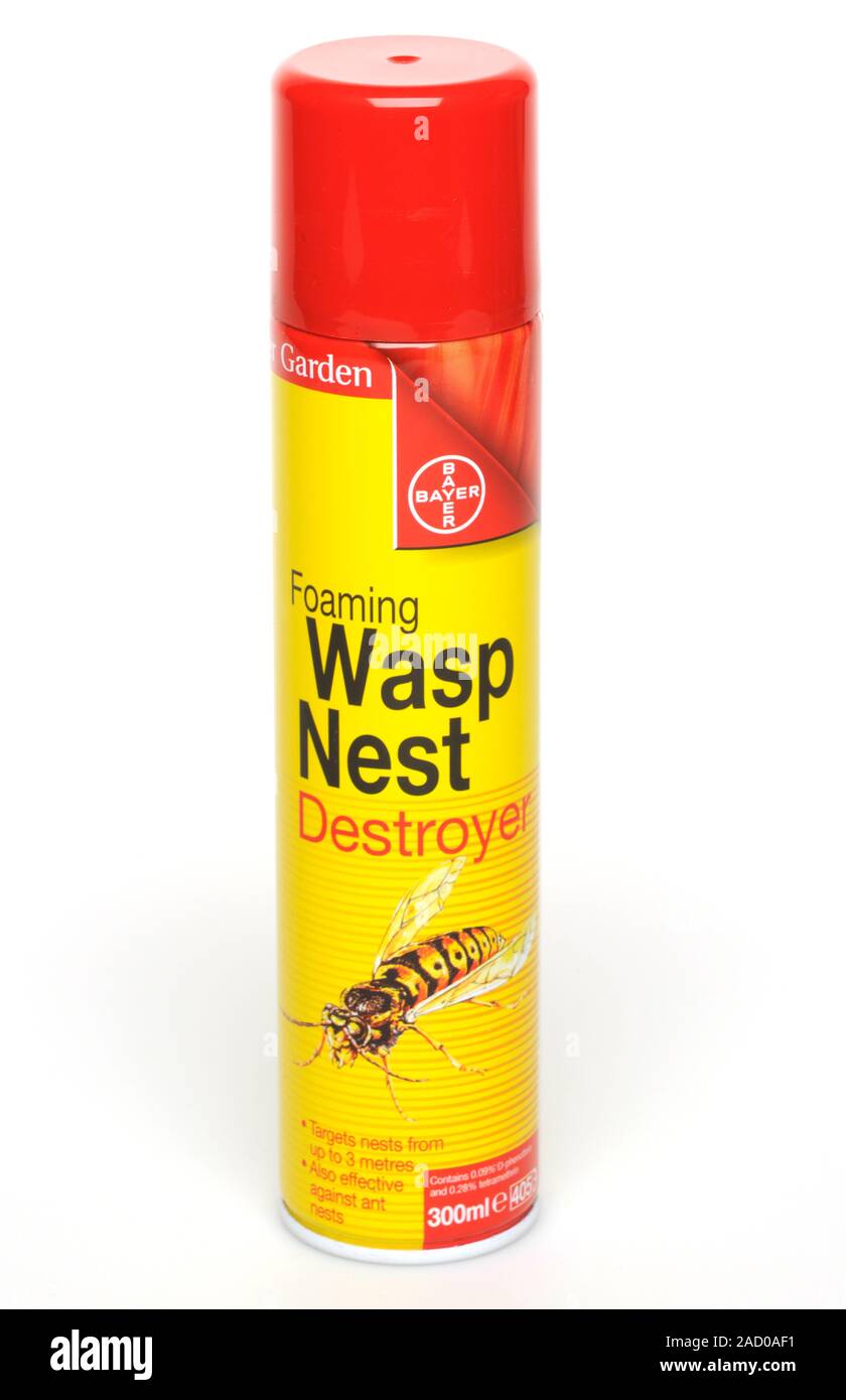 Fly spray. Aerosol can containing a foaming spray used to kill wasps in ...
