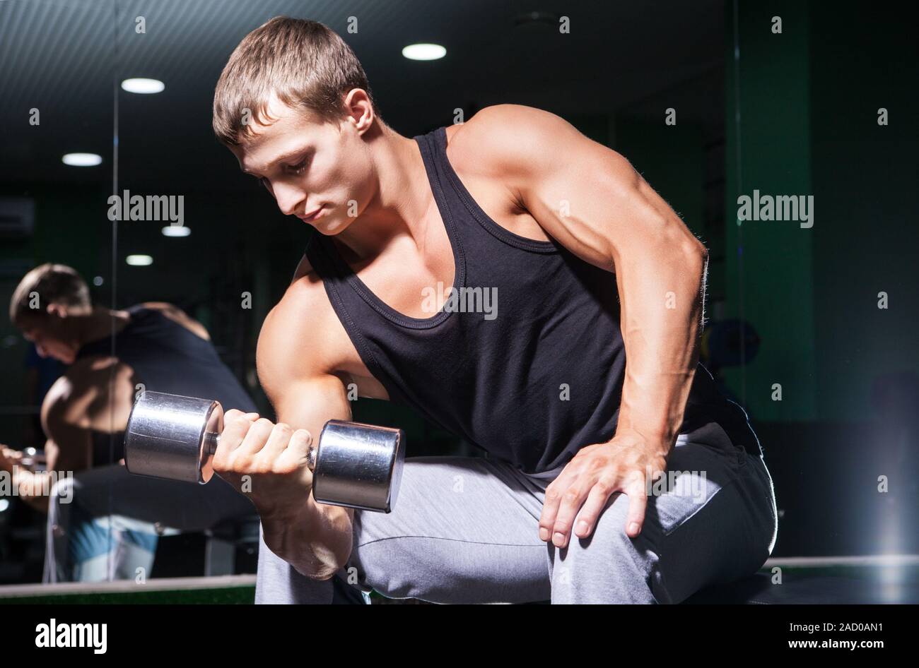Portrait of handsome muscular man doing concentration curls on bench ...