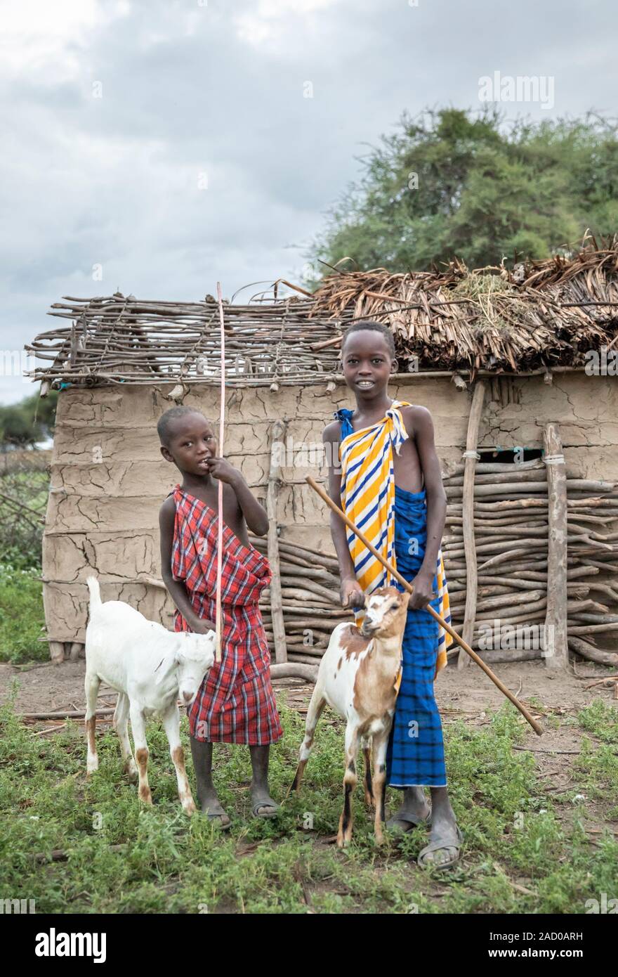 Same, Tanzania, 7th June 2019: maasai kid with a goat Stock Photo - Alamy