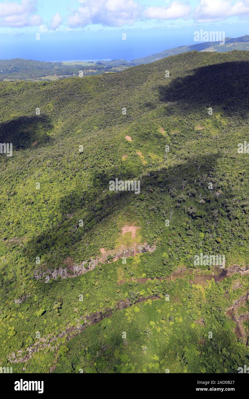 Mauritius, Landscape in the Black River Georges National Park Stock ...