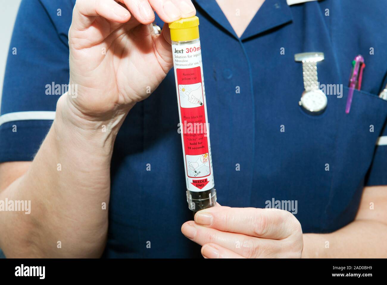 Adrenaline injector. Nurse holding an epinephrine autoinjector (Jext ...