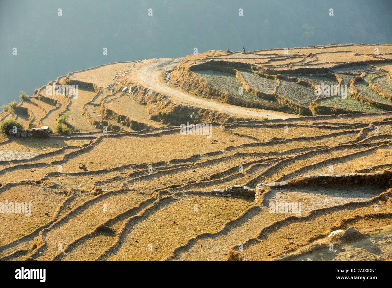 Subsistence farming in the Annapurna Himalayas in Nepal. The terracing ...