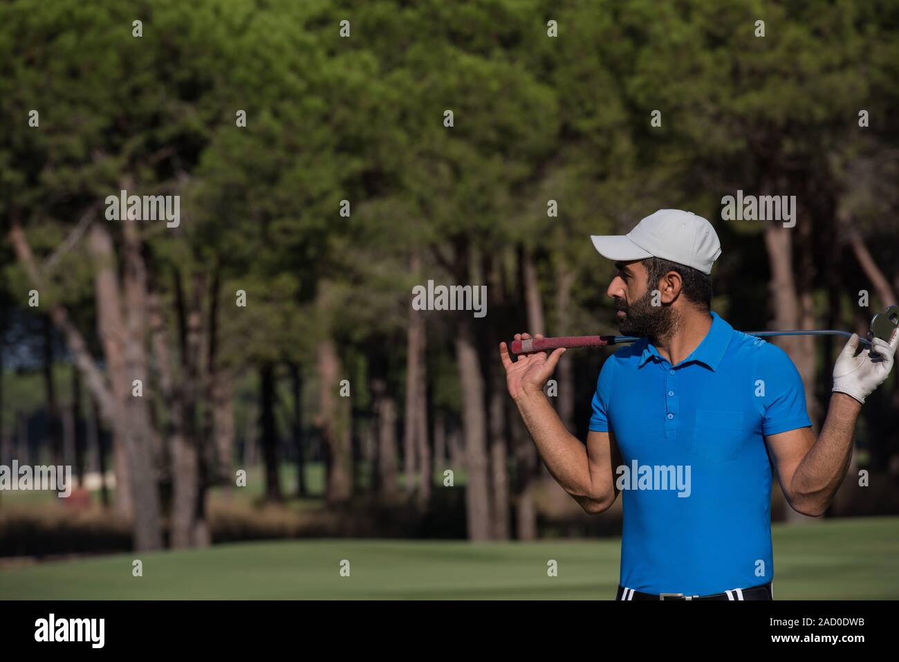 golf player portrait at course Stock Photo - Alamy