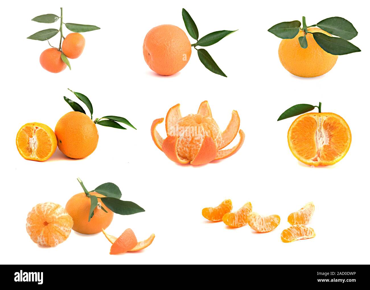 Different cultivars of tangerines isolated on white background Stock ...